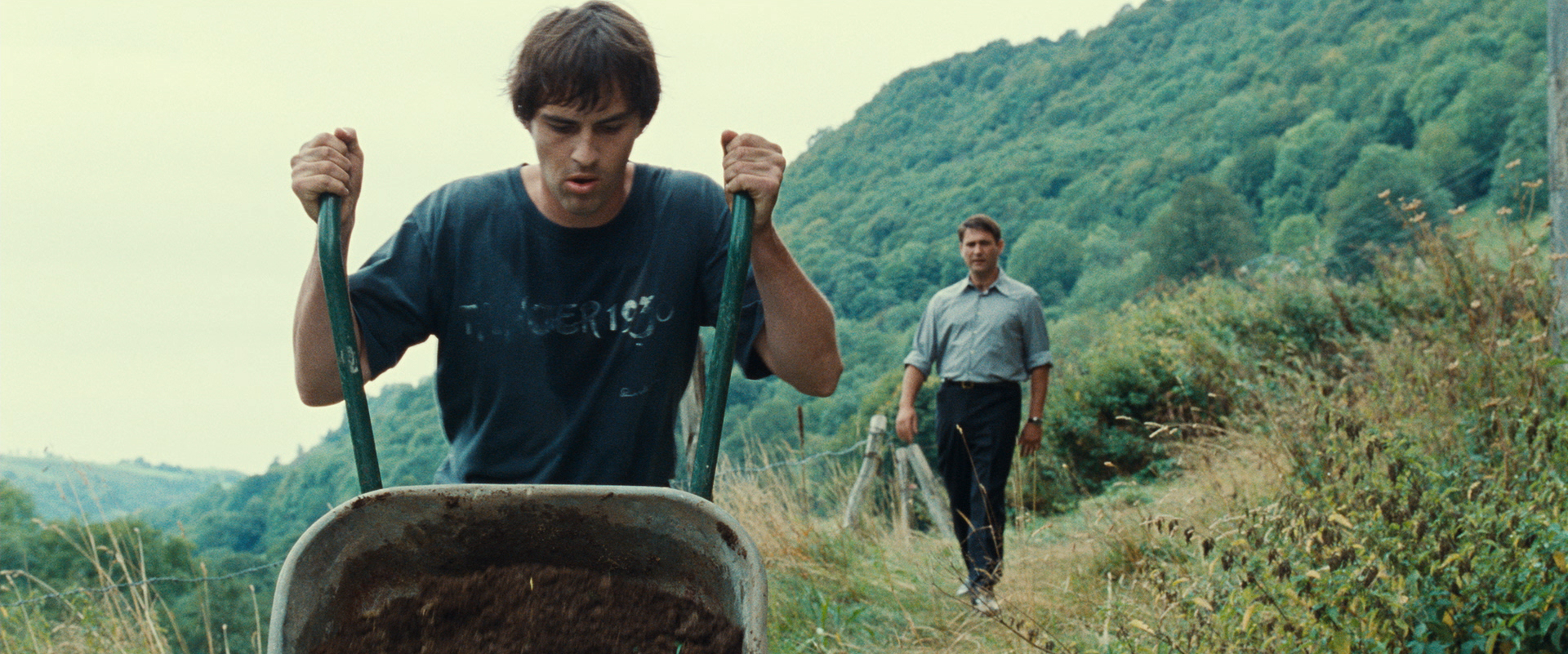 Harry, un ami qui vous veut du bien