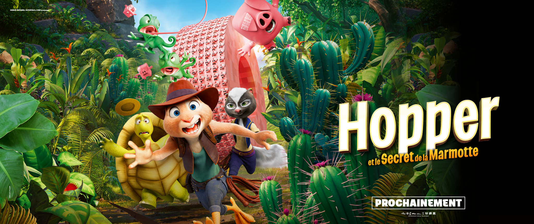 Hopper et le secret de la Marmotte